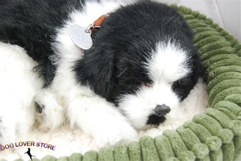 Border Collie Life Like Stuffed Animal Breathing Dog Perfect Petzzz