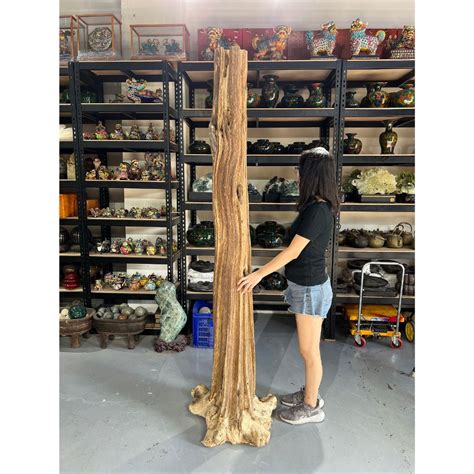 【通天寶】頂級越南沉香木 巨無霸【沉香樹幹】實心樹幹【罕見收藏】油脂豐富 氣韻清香 極品沉韻清辛 供佛禮佛 E52 蝦皮購物