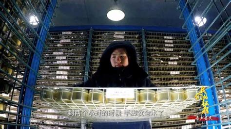 中国碗里装满中国粮看这片神奇的土地如何创造奇迹