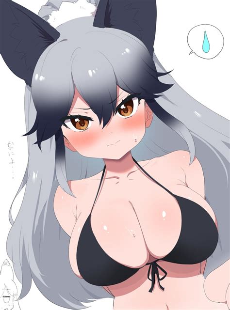 Silver Fox And Ezo Red Fox Kemono Friends Drawn By Ransusan Danbooru