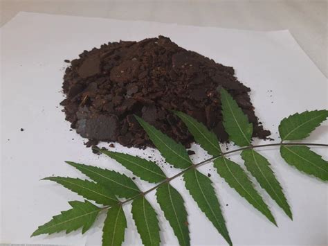 Neem Cake Powder Fertilizer Packet Packaging Size 1 Kg At ₹ 30kg In