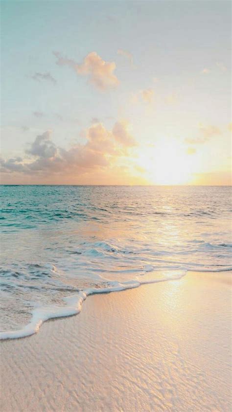 Aesthetic Summer Pfp Wallpapers Wallpaper Cave