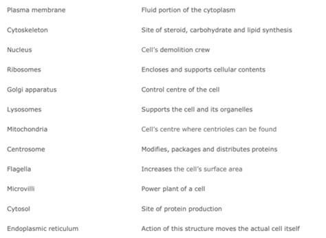 Biology Flashcards Quizlet