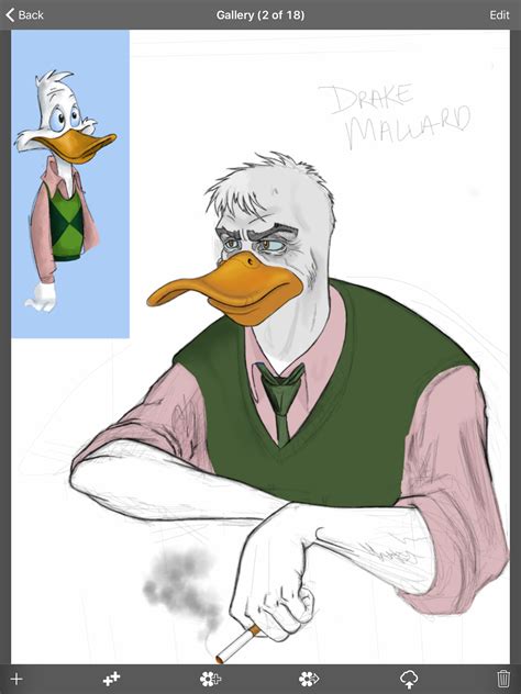 Drake Mallard Aka Darkwing Duck R Darkwingduck