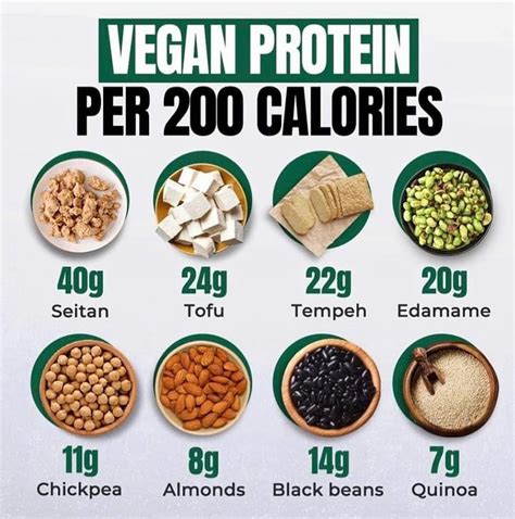 Веган хоолны сургалт 79