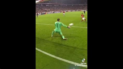 15 Kasım 2024 Youtube