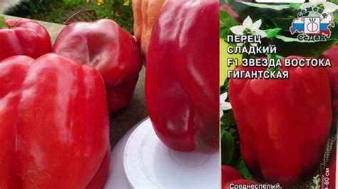 Проверенные и Любимые Семена Сладкого Перца. Лучшие сорта красного ...