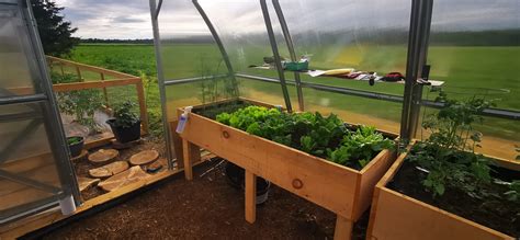Designing Your Dream Backyard Greenhouse A Step By Step Guide Nova