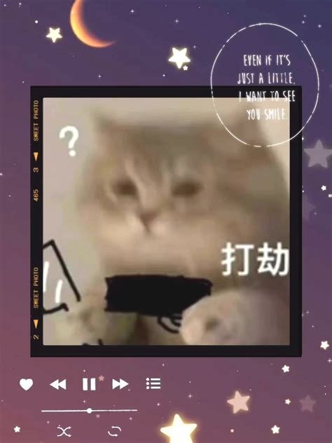 天目新闻 我想摆烂