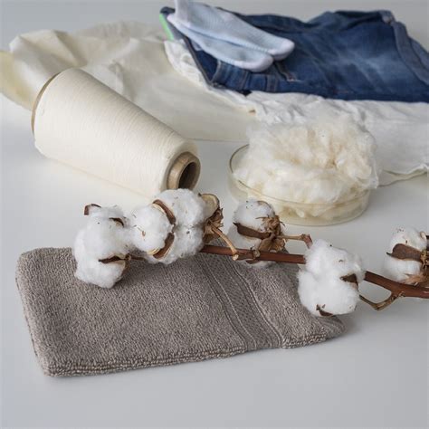 Sandip Panchal On Linkedin Genetically Modified Cotton