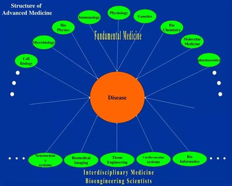 PPT Microbiology PowerPoint Presentation Free Download ID 5280152