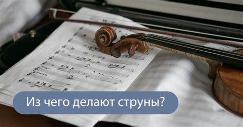 Правда ли, что скрипичные струны делались из кошачьих кишок? Давайте ...