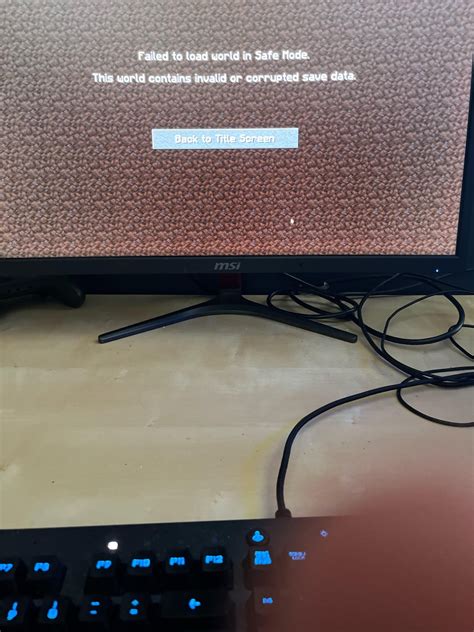 Please Help I Cant Play My Main Survival World Rminecraft