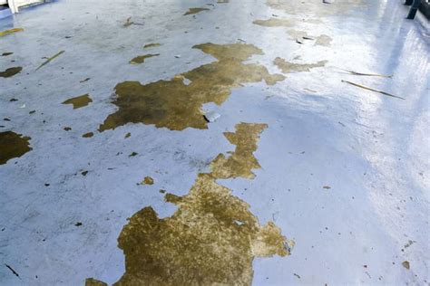 Moisture Mitigation Green Umbrella Architectural Concrete