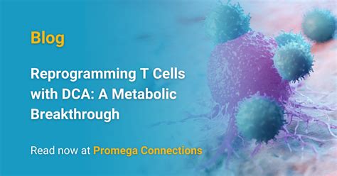 Reprogramming T Cells With Dca A Metabolic Breakthrough Promega Connections