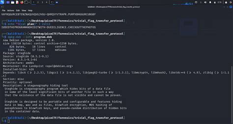 Trivial Flag Transfer Protocol