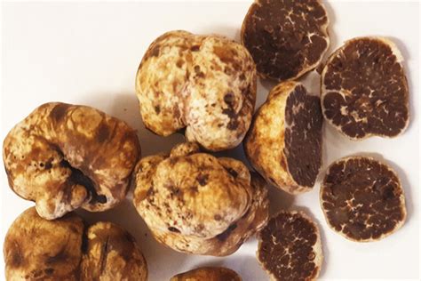 Tryffeli Ja Kaikki Mitä Siitä Pitää Tietää Avec