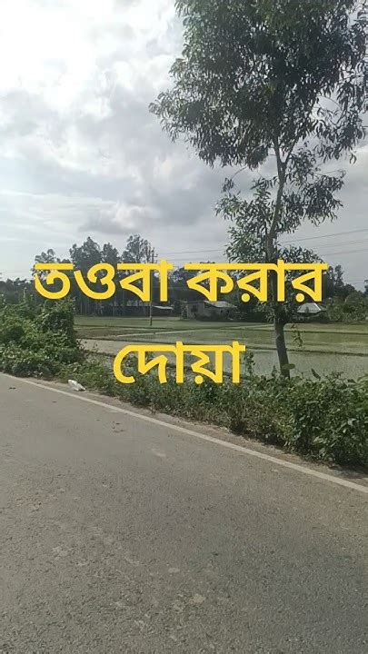 তওবা করার দোয়া Dua Duaa Viralvideo দোয়া দোয়াওআমল আমলওদোয়া