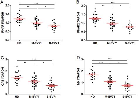 Validation Of Type I Ifn Related Genes Expression Among Different