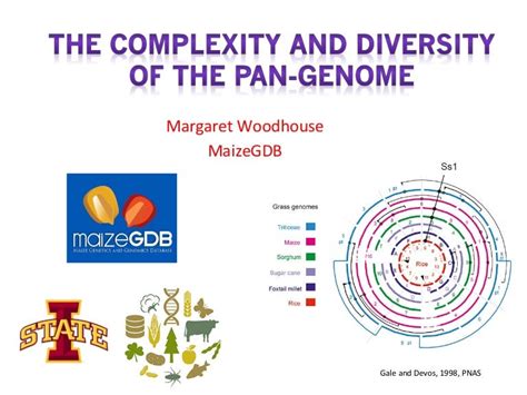 Agbiodata Complexity And Diversity Of The Pan Genome