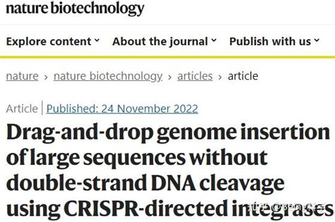 无需dna双链断裂！基因组编辑新利器可实现超长序列高效插入 知乎