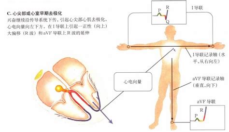 你看过的最深入浅出最经典的医学教材有什么？ 知乎