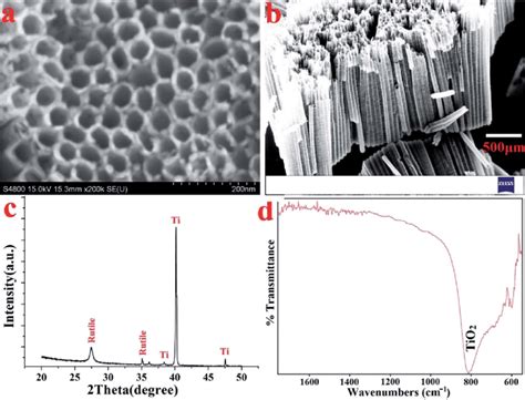 A Fe Sem Image B Their Cross Section C Xrd Pattern And D