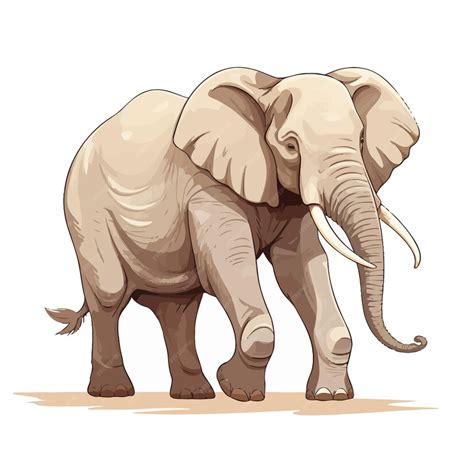 Premium Vector Animalwalkinganimationsvector Premium Vector Animalwalkinganimationsvector