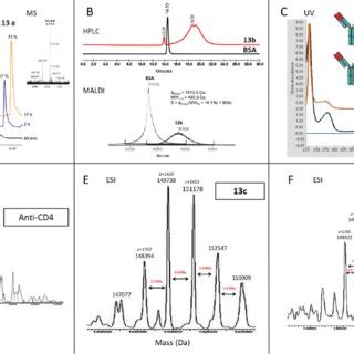 Conjugate Characterization A HPLC And HPLC MS Analysis Of Peptide