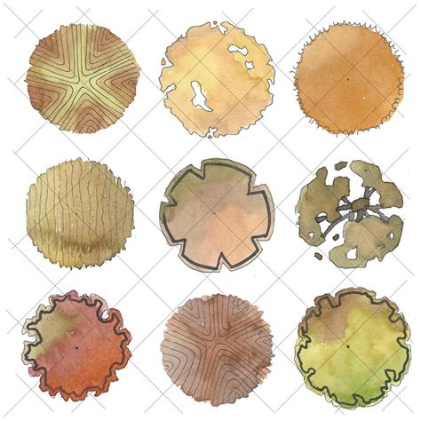 Landscape Graphics Plan View Trees Watercolor Brown Variety