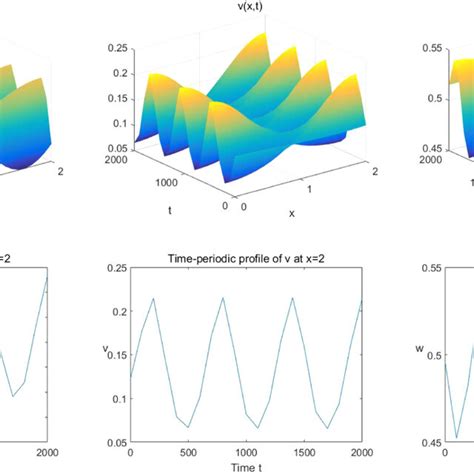 Formation Of Nontrivial Time Periodic Patterns Of 11 In Ω 0 2 Download Scientific