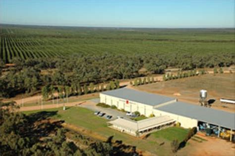 Cobram Estate Expands In The United States Australian Manufacturing Forum