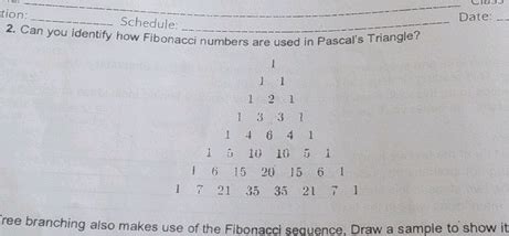Tion 2 Can You Identify How Fibonacci Numbers StudyX