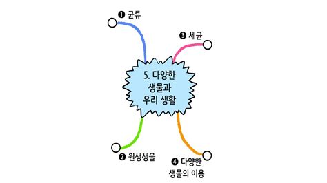 비상교육 온리원 개뼈노트 5학년 1학기 5단원 과학 다양한 생물과 우리 생활 Youtube