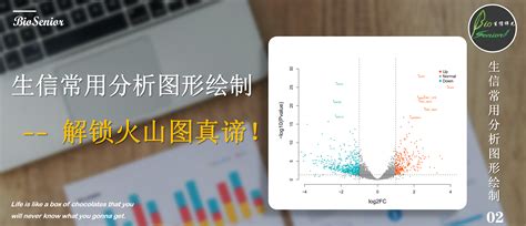 生信常用分析图形绘制02 解锁火山图真谛！生信r语言火山图 Csdn博客