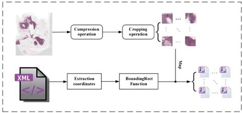 The Process Of Generating Roi Recognition Dataset Download Scientific Diagram