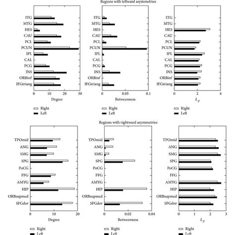 Lateralized Organization Of Superior Lateral Prefrontal Cortex With Download Scientific