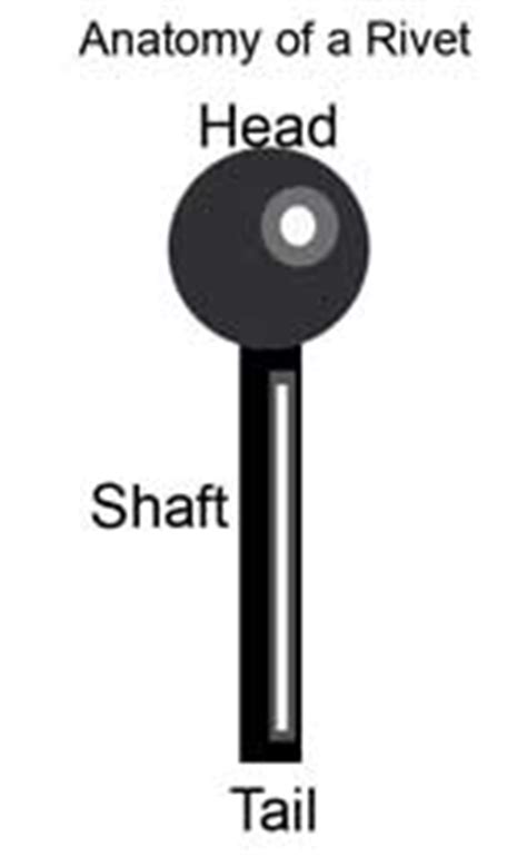 Anatomy Of A Rivethead