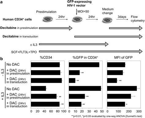 A Human Cd34 Cells Were Cultured In Serum Free Media Containing