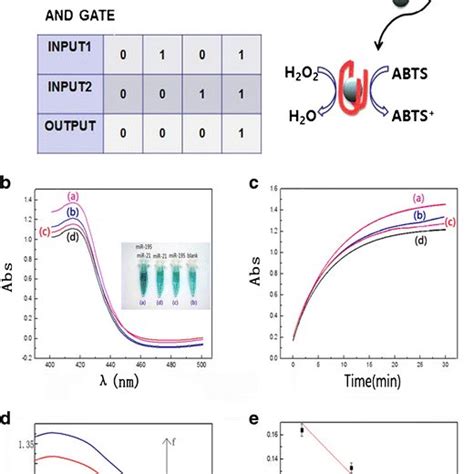 the dna logic gate based on strand displacement and magnetic