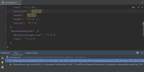 Webstorm 20223 Eap 5 Package Vulnerability Checker Vue Import