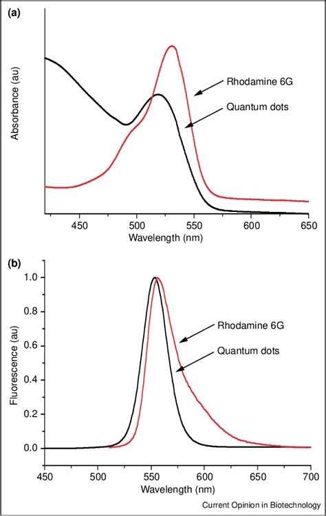 Figure 1 From Luminescent Quantum Dots For Multiplexed Biological