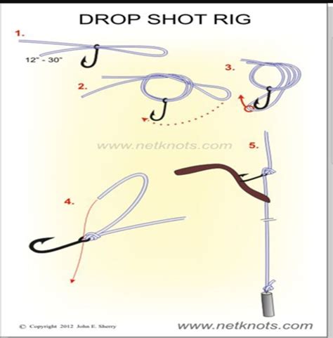 Top Drop Shot Rig Ideas And Inspiration