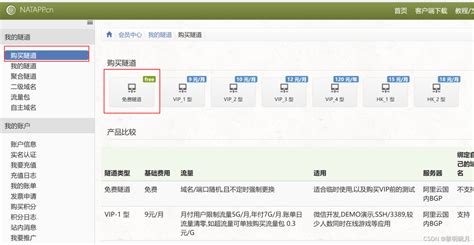 NATAPP内网穿透之接口测试 natapp 用作接口 CSDN博客