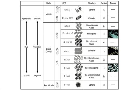 Self Assembly Structures Formed In Surfactant Systems And Their
