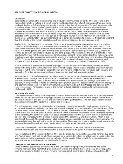 An Introduction To Coral Reefs Coral Reef Coral