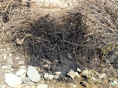 Mysterious Fire In Sidias Nagaur News नागौर में रहस्यमयी आग से