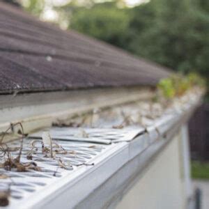 How To Remove Gutter Guards Do It Yourself PJ Fitzpatrick
