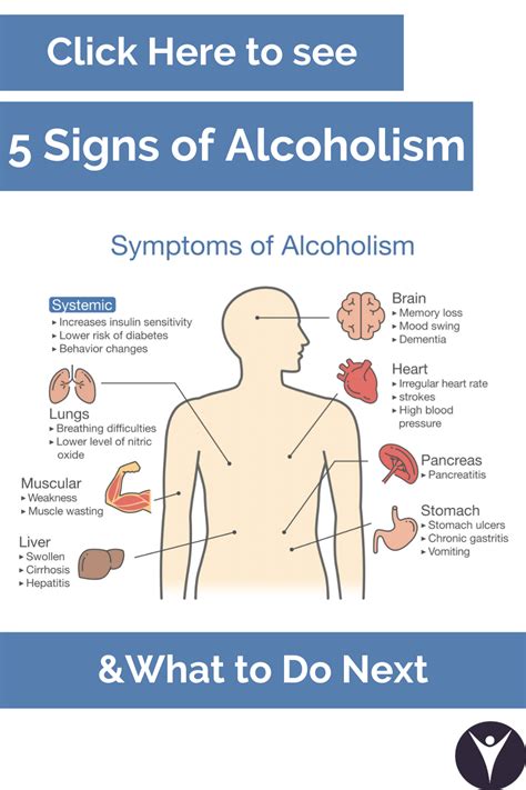 Are You A Functioning Alcoholic Spotting Functional Alcoholic Signs