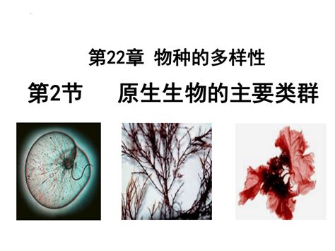 Ppt